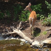 Powder Valley Conservation Nature Center - Kirkwood, MO