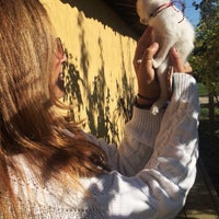 Свиленград (Svilengrad)