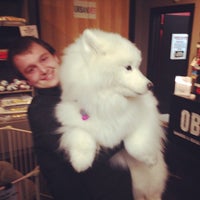 Downtown Dog Lounge - Interbay - 5 tips from 225 visitors