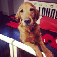 Downtown Dog Lounge - Interbay - 5 tips from 225 visitors