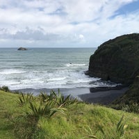 Muriwai Beach Gannet Colony