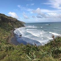 Muriwai Beach Gannet Colony