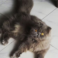 Gulshan Circle 2 - Road in Dhaka