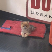 Downtown Dog Lounge - Interbay - 5 tips from 225 visitors