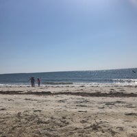 Dowses Beach - 7 tips from 484 visitors