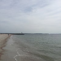 Dowses Beach - 7 tips from 461 visitors