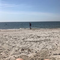 Dowses Beach - 7 tips from 470 visitors