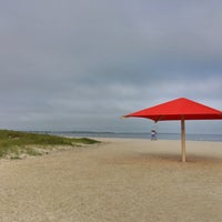 Dowses Beach - 8 tips from 499 visitors