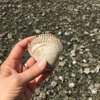 Barnet Marine Park - Burnaby Mountain - 6 tips from 416 visitors