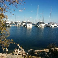 Port Credit Harbour Marina - Harbor / Marina in Mississauga