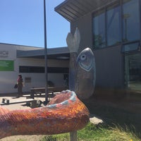 Ortega Branch Library - Outer Sunset - San Francisco, CA