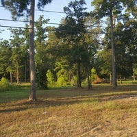 W G Jones State Forest - Park in Conroe