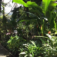 Diamond Botanical Gardens - Soufrière, Quarter of Soufrière