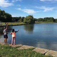 Colwick Country Park - 5 tips from 156 visitors