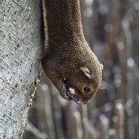 Sungei Buloh Wetland Reserve - Nature Preserve in Singapore
