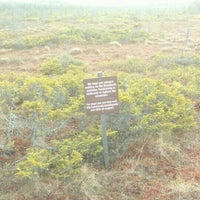 Orono Bog Boardwalk - Other Great Outdoors in Bangor