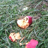 Milk Pail Farms - Watermill, NY