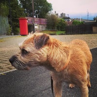 Clitheroe - 5 tips from 380 visitors