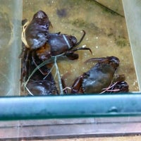 Smart Pandan - 15 tips from 2976 visitors