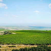 Bodegas Ontañón - Logroño, La Rioja