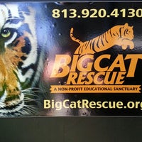 Big Cat Rescue - Citrus Park Community - 25 tips