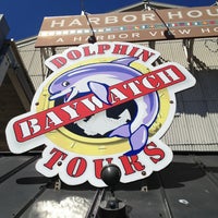 Baywatch Dolphin Tours - Galveston Harbor - 9 tips from 327 visitors