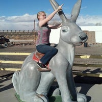Jackrabbit Trading Post - Gift Shop
