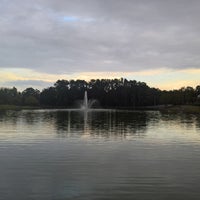 Pineville Lake Park - 6 tips from 150 visitors