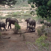 Kruger National Park - Phabeni Gate - 3 tips from 499 visitors