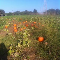 Highland Orchards - Garden in West Chester
