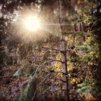 Pine Junction, CO - 1 tip from 345 visitors