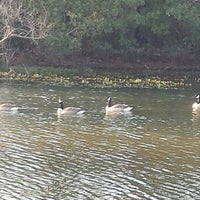 Santee Cooper Lake Bridge - Bridge in Santee