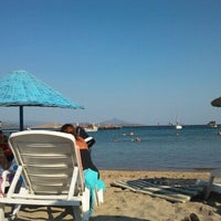 Camel Beach - Bodrum, Muğla