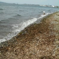 Howarth Park - Beach