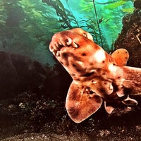 Santa Barbara Maritime Museum - 1 tip