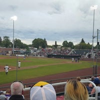 Melaleuca Field - 8 tips