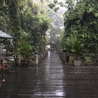 Sukau Rainforest Lodge