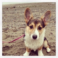 Howarth Park - Beach