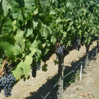 Peter Cellars - 21708 Broadway