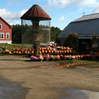 Coppal House Farm - Farm in Durham