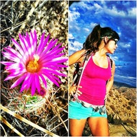 Albuquerque Open Space Trail Head - Albuquerque, NM