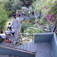 Jacob's Ladder - West Perth - 12 tips