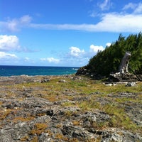 Animal Flower Cave - Cave