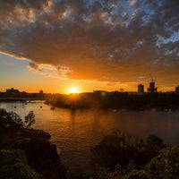 Kangaroo Point Cliffs & Riverwalk - 14 tips from 1013 visitors