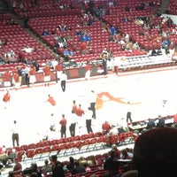 Coleman Coliseum - College Basketball Court in Tuscaloosa
