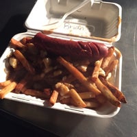 Zog's Dogs - 20 tips