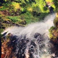 Multnomah Falls - 157 tips from 17163 visitors