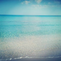 Gulfstream Park - Beach