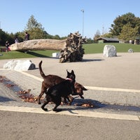 Locust Point Dog Park - Dog Run in Baltimore