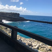 Animal Flower Cave - Cave